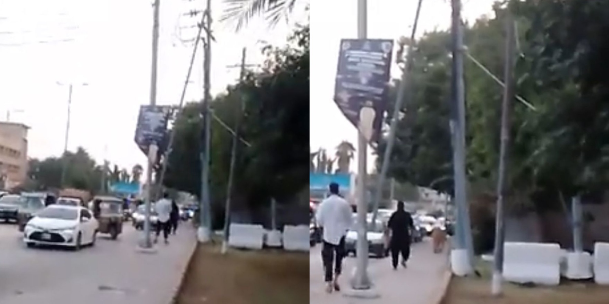 Video: Lion makes scary entry on Karachi road - HUM News