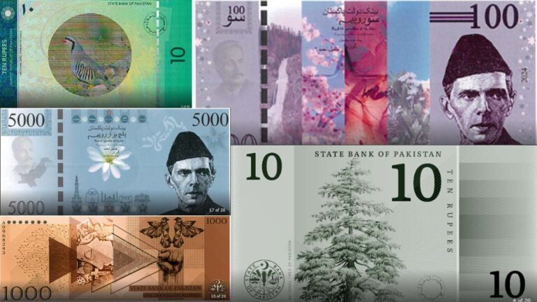 What the new banknotes in Pakistan could look like? Business - HUM News