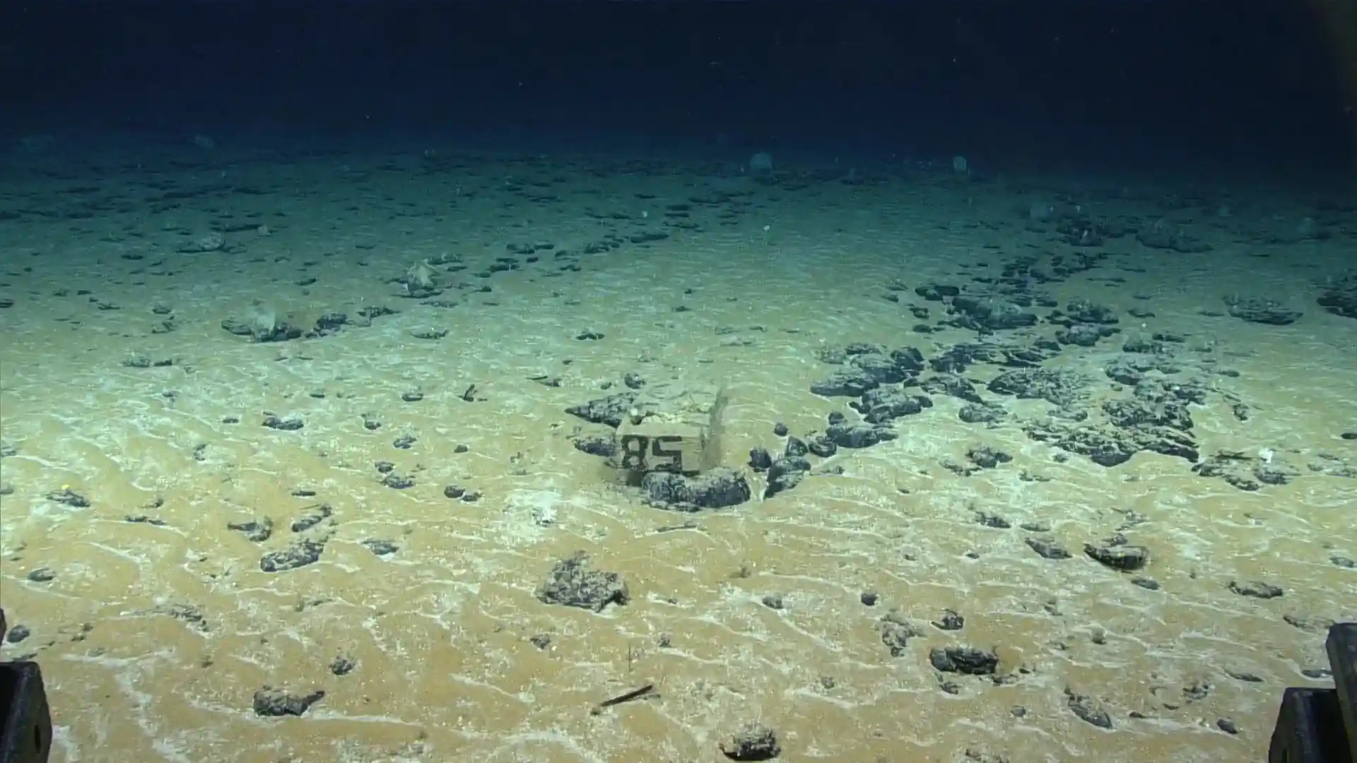 Restoring sea floor after mining may not be possible, researchers warn Technology - HUM News